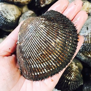 쿠팡이 추천하는 야동왕 조개모아 19 restaurant san fra menu prices 관련 혜택과 특가