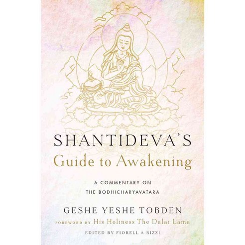 Shantideva''s Guide to Awakening: A Commentary on the Bodhicharyavatara, Wisdom