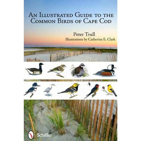 An Illustrated Guide to the Common Birds of Cape Cod Paperback ...