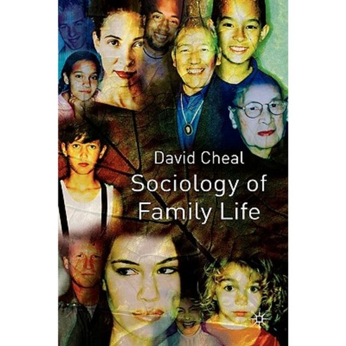 Sociology of Family Life Paperback, Palgrave - 가격 변동 추적 그래프 - 역대가