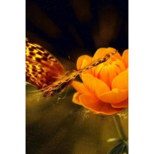 Butterfly Flower Journal: Blank 200 Page Journal Paperback, Createspace ...