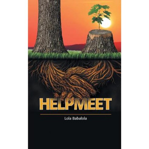 Helpmeet Paperback, New Generation Publishing - 가격 변동 추적 그래프 - 역대가