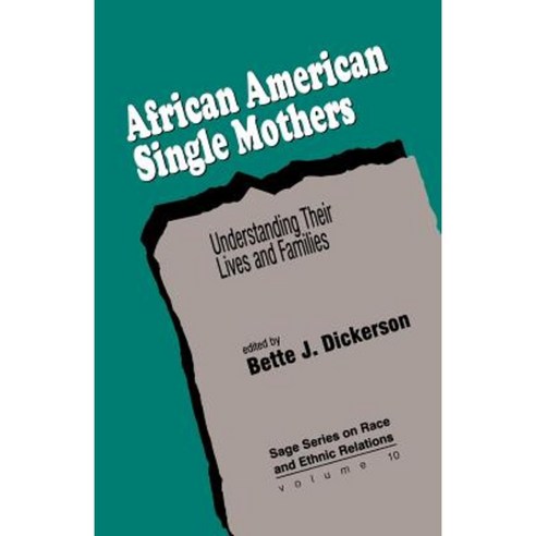 African American Single Mothers: Understanding Their Lives and Families ...