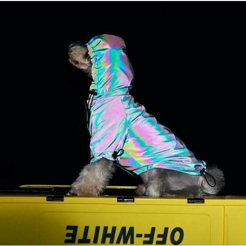 MING Dog Cat Shining Hood 擋風玻璃 酷澎 - 天天低價，你的日常所需都在酷澎