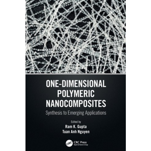 (영문도서) One-Dimensional Polymeric Nanocomposites: Synthesis to Emerging ...