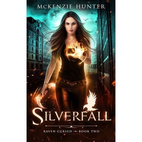 Silverfall Paperback, Sky Publishing LLC, English, 9781946457059 - 가격 변동 추적 그래프