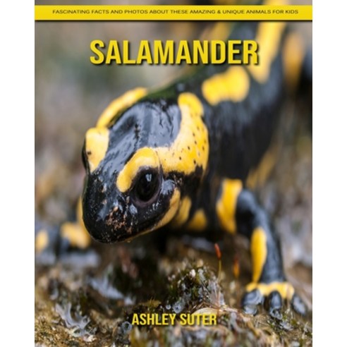 Salamander: Fascinating Facts and Photos about These Amazing & Unique ...
