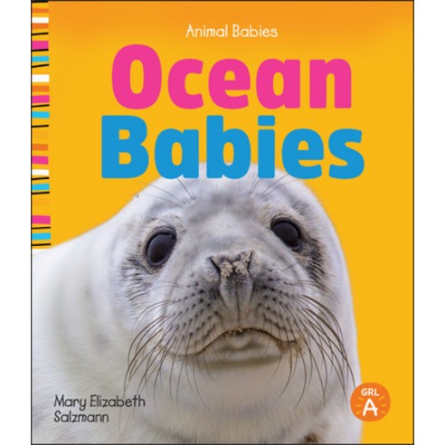 Ocean Babies Paperback, SandCastle, English, 9781731644756 - 가격 변동 추적 ...