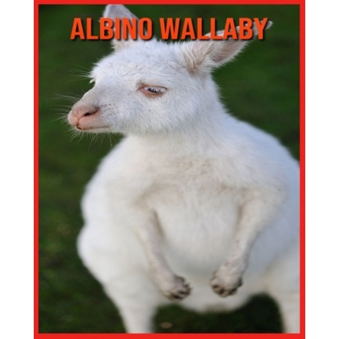 Albino Wallaby: Childrens Book Amazing Facts & Pictures about Albino ...