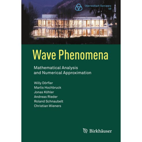 (영문도서) Wave Phenomena: Mathematical Analysis and Numerical ...