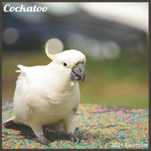 Cockatoo 2021 Calendar: Official Cockatoo Wall Calendar 2021 Paperback ...