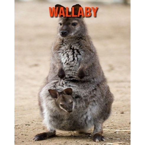 Wallaby: Fun Learning Facts About Wallaby Paperback, Independently ...