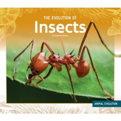 The Evolution of Insects Library Binding, Abdo Publishing, English, 97815321166