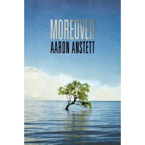 (영문도서) Moreover Paperback, Sagging Meniscus Press, English, 9781944697037 - 가격