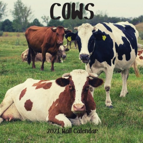 Cow 2021 Wall Calendar: Cow 2021 Calendar 18 Months Paperback ...