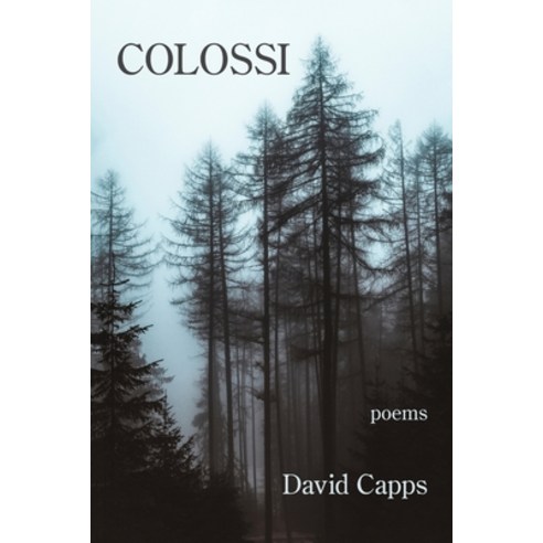 Colossi Paperback, Kelsay Books - 가격 변동 추적 그래프 - 역대가
