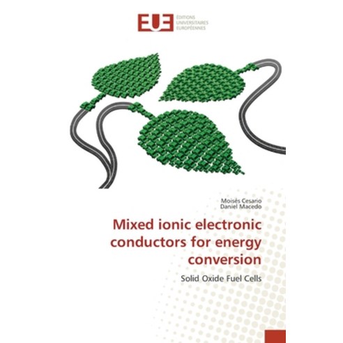 Mixed ionic electronic conductors for energy conversion Paperback ...