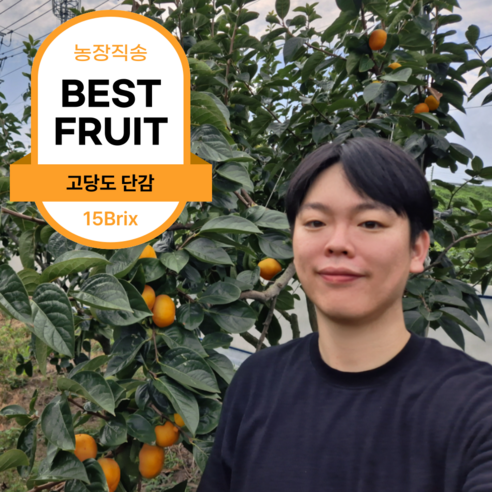 청년농부 15Brix 초고당도 백화점급 단감 농장주직송, 5kg 중소 28개, 1박스 - 감 | 쿠팡