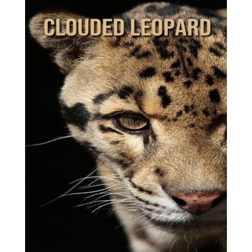 Clouded Leopard: Amazing Photos & Fun Facts Book About Clouded Leopard ...