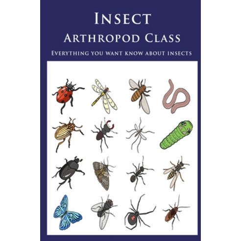Insect - Arthropod Class: Everything you want know about Insects ...