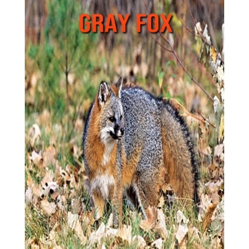 Gray Fox: Fun Facts & Cool Pictures Paperback, Independently Published ...