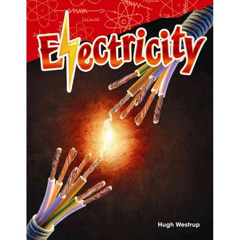 Electricity, Teacher Created Materials - 가격 변동 추적 그래프 - 역대가
