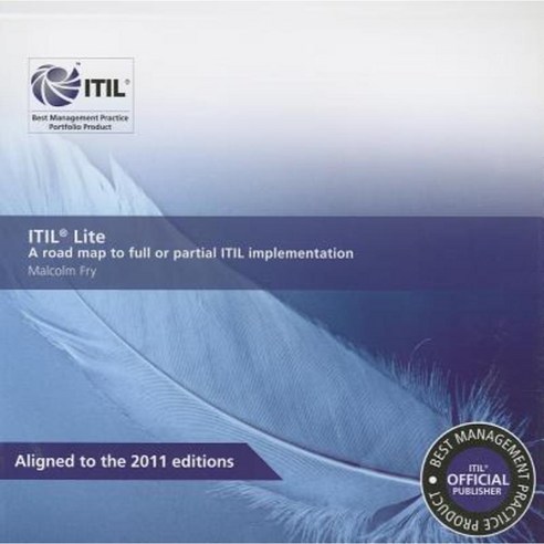 ITIL Lite: A Road Map to Full or Partial ITIL Implementation Paperback ...
