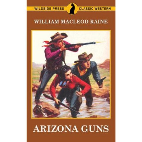 Arizona Guns Paperback, Wildside Press - 가격 변동 추적 그래프 - 역대가