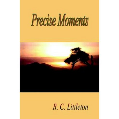 Precise Moments Paperback, Authorhouse - 가격 변동 추적 그래프 - 역대가