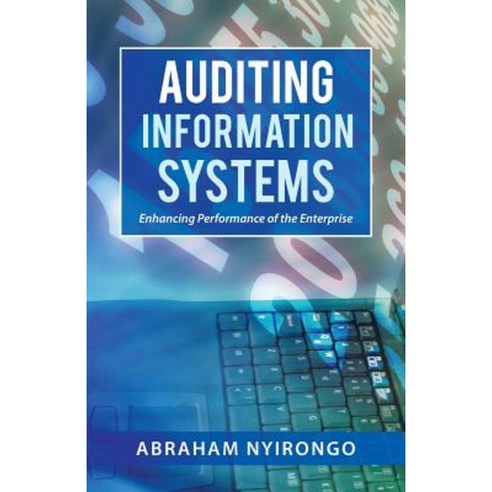 Auditing Information Systems: Enhancing Performance of the Enterprise Paperback