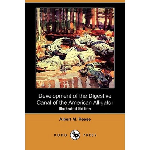 Development of the Digestive Canal of the American Alligator ...