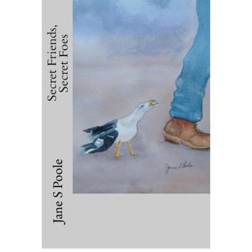 Secret Friends Secret Foes Paperback, Createspace Independent ...