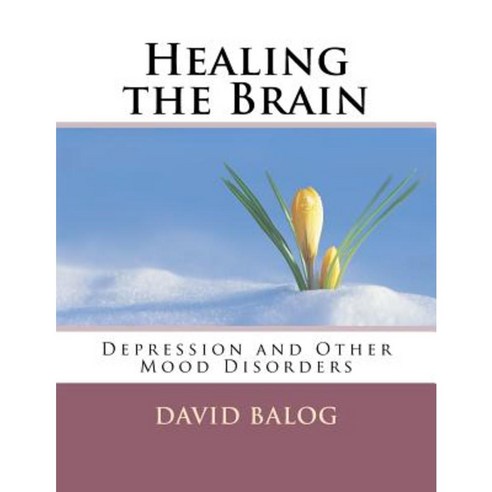 Healing the Brain: Depression and Other Mood Disorders Paperback ...