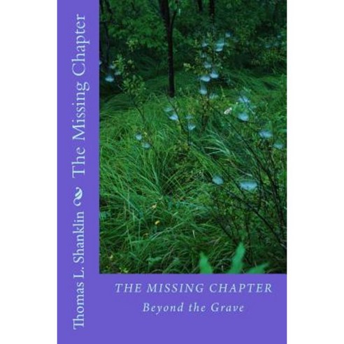 The Missing Chapter: Beyond the Grave Paperback, Createspace ...