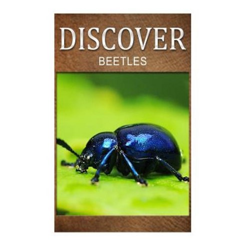 Beetles - Discover: Early Reader''s Wildlife Photography Book Paperback ...