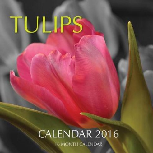 Tulips Calendar 2016: 16 Month Calendar Paperback, Createspace ...