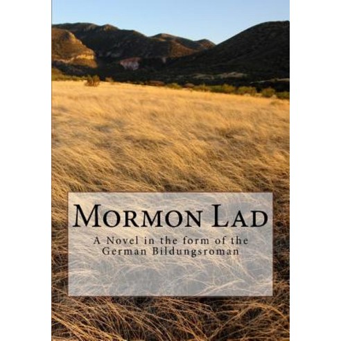 Mormon Lad: A Novel in the Form of the German Bildungsroman Paperback ...