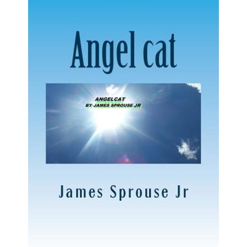 Angel Cat: Angelcat Book of Beginning Paperback, Createspace ...