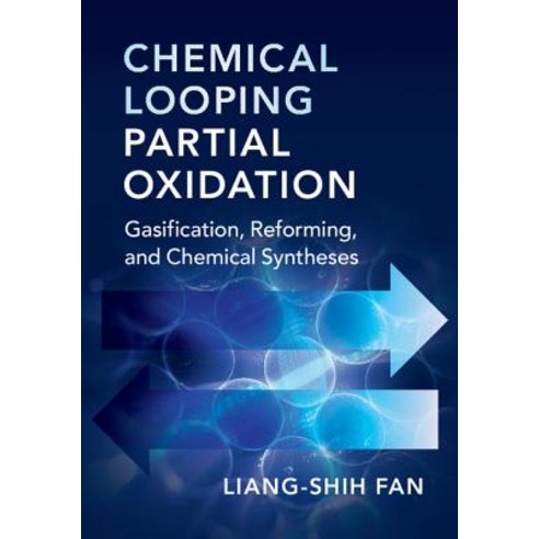 Chemical Looping Partial Oxidation: Gasification Reforming and Chemical ...