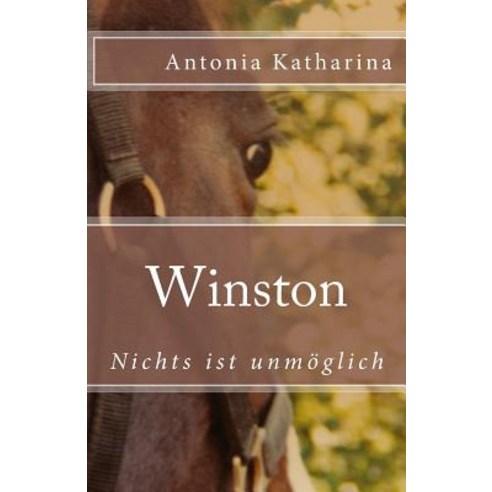 Winston III: Nichts Ist Unmoglich Paperback, Createspace Independent ...
