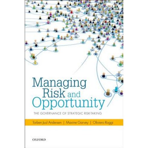 Managing Risk and Opportunity: The Governance of Strategic Risk-Taking ...