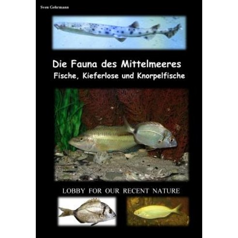 Die Fauna Des Mittelmeeres: Kieferlose Fische Und Knorpelfische ...