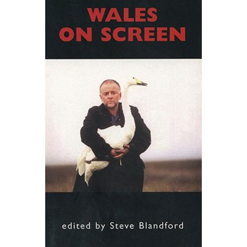 Wales on Screen Paperback, Seren Books - 가격 변동 추적 그래프 - 역대가