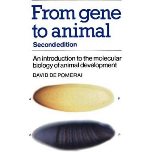 From Gene to Animal:An Introduction to the Molecular Biology of Animal ...