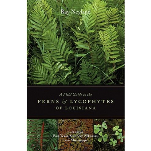 A Field Guide to the Ferns & Lycophytes of Louisiana: Including East ...