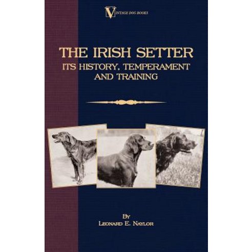 The Irish Setter: Its History Temperament and Training Paperback ...